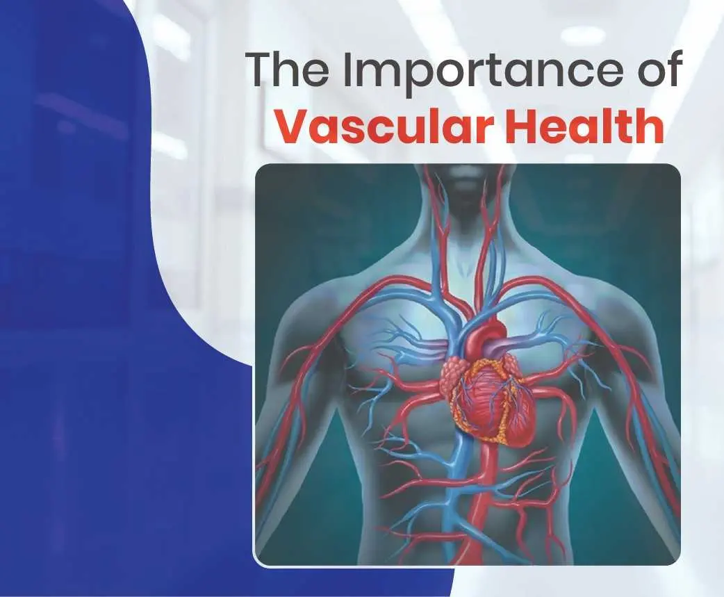 Vascular Disease Symptoms & Treatment | Avis Vascular Center